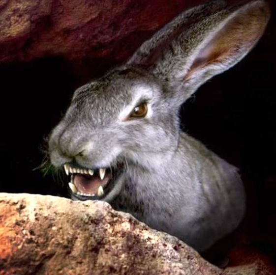 Review of “Night of the Lepus” (1972) – Reviews of Old and New Stories ...